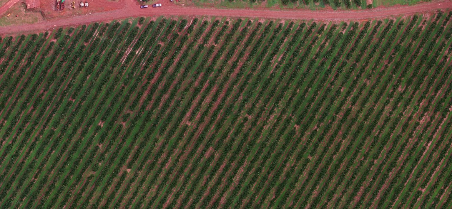 Sony A7R Multispectral Sextuple Camera | Agricultural Drone Specialists